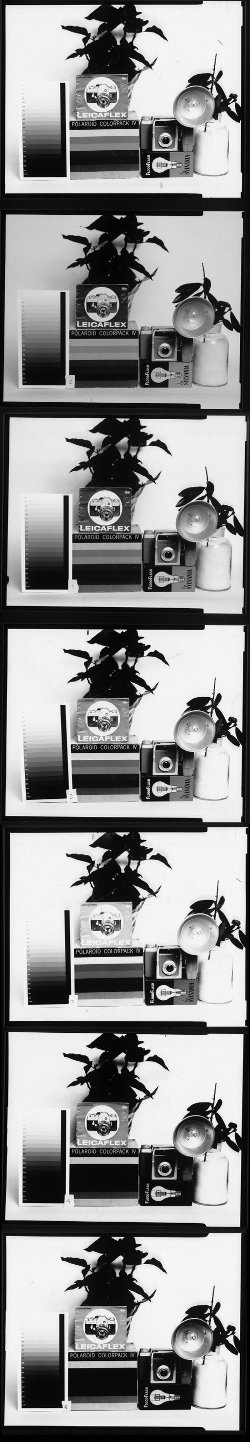 Paper Negatives with Ilford Multigrade Filters – Beau Photo Supplies Inc.