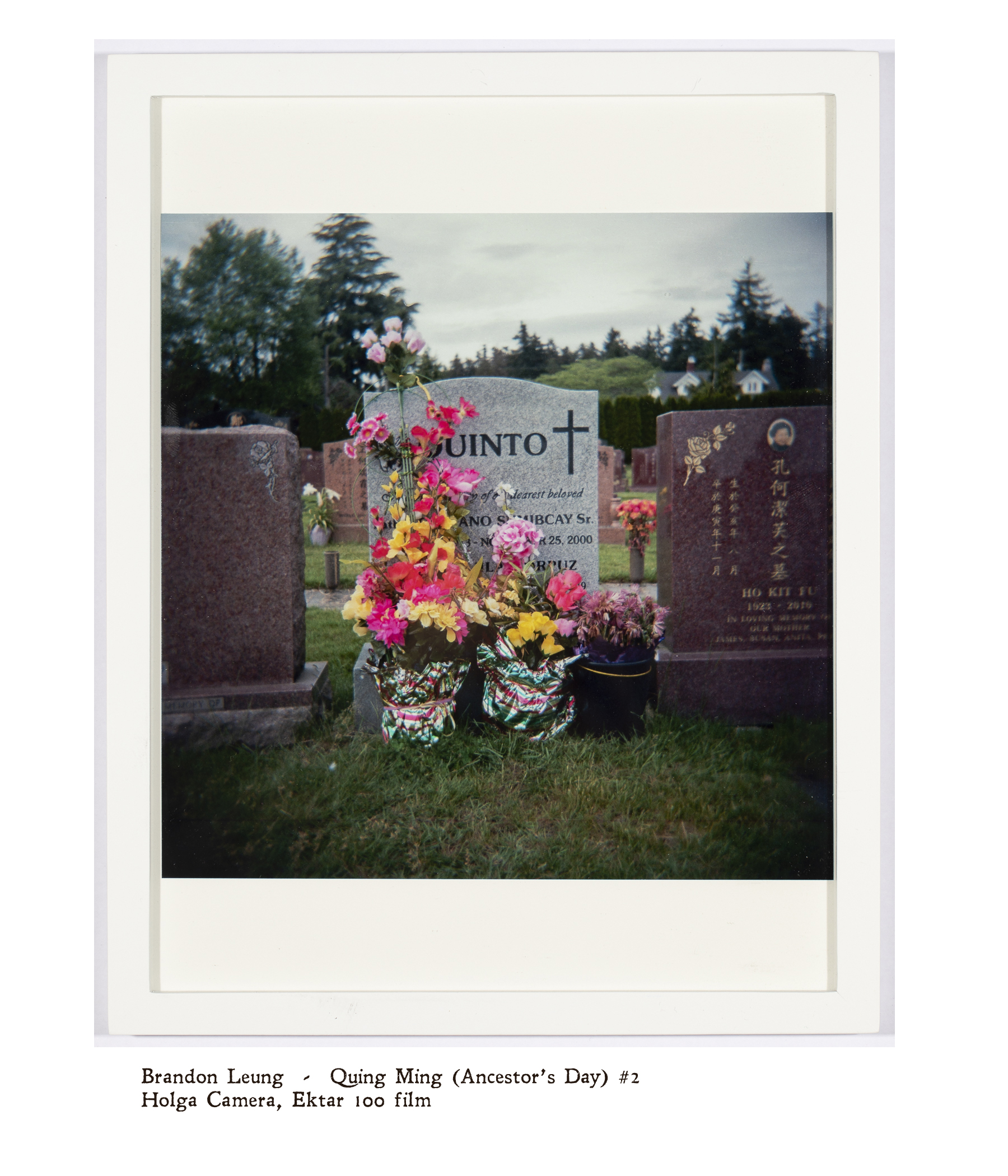 Cabinet of Curiosities – Virtual Exhibition – Beau Photo Supplies Inc.